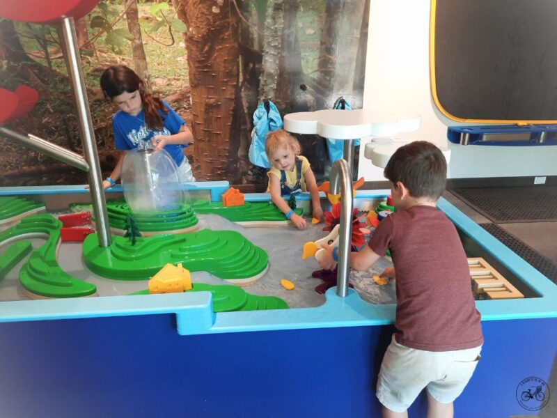 7 Favorite Field Trip Adventures - A Basketful of Joy