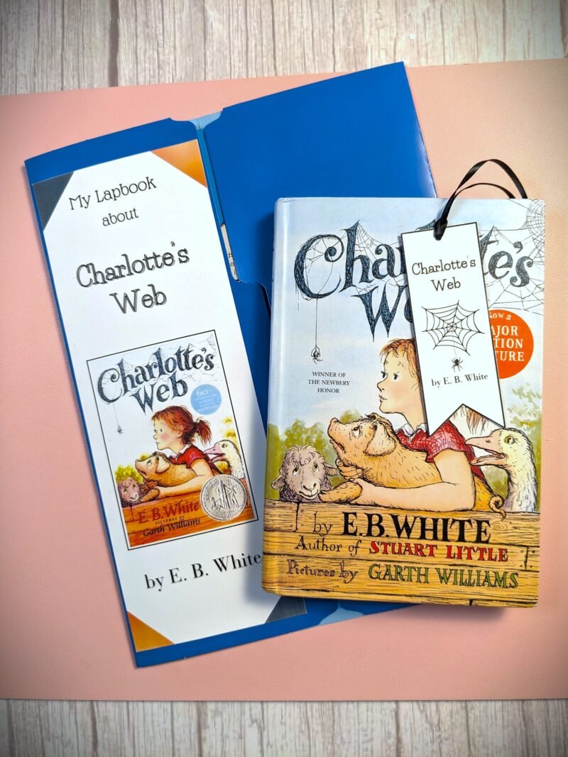Interactive Lapbook Kits for Your Homeschool - A Basketful of Joy